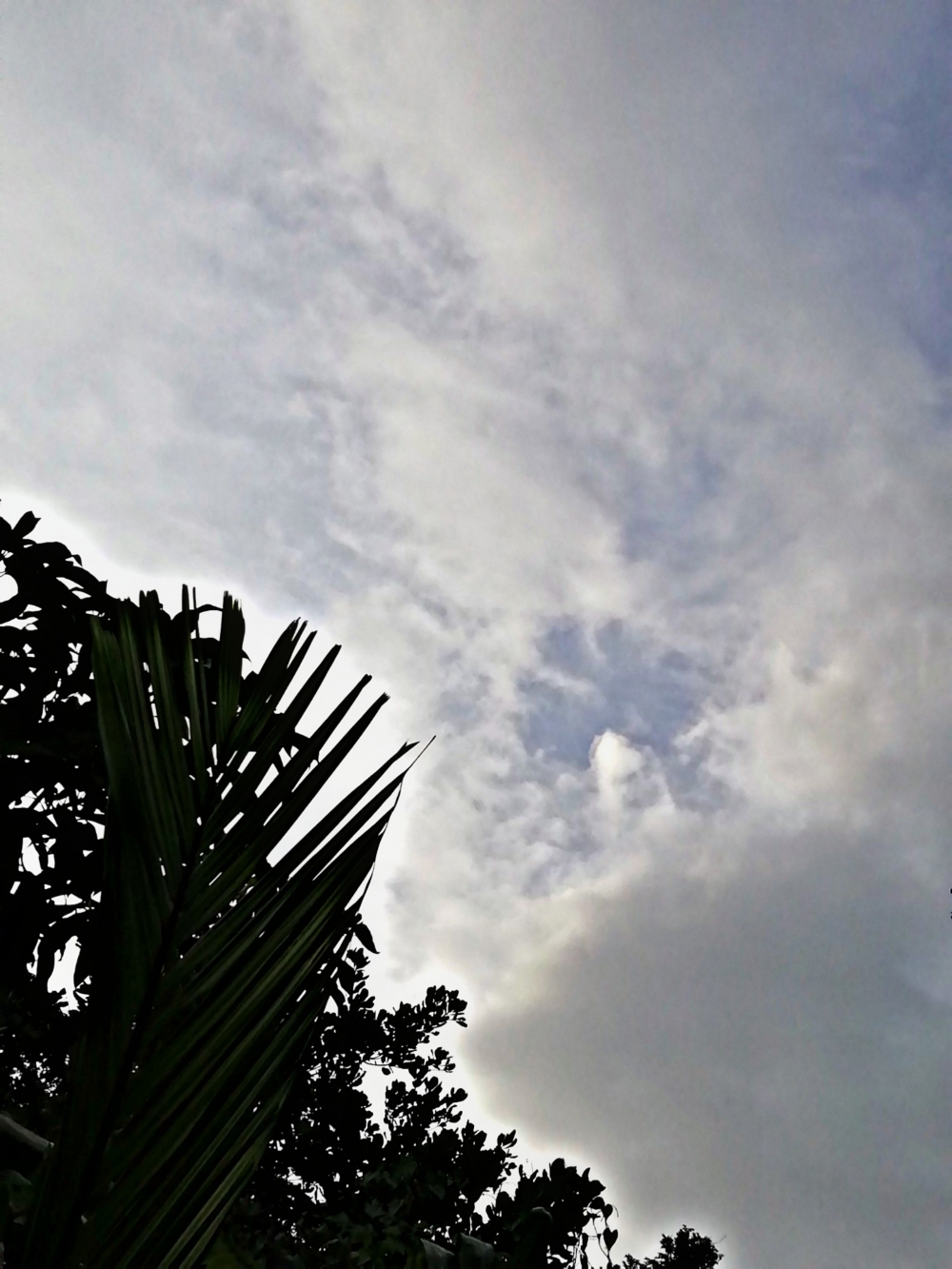 Overcast Sky Photography